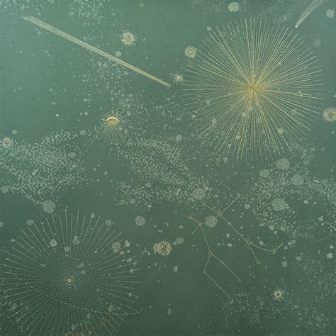 Stargaze — Calico Wallpaper