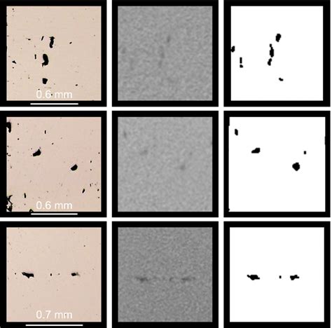 Expanded Views Of The Micrographs Xct Data And Segmented Xct Data Download Scientific Diagram