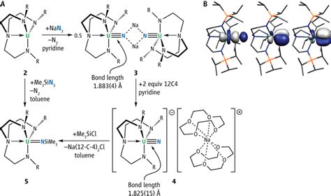 Uncovering The Uranium Nitrogen Triple Bond Science
