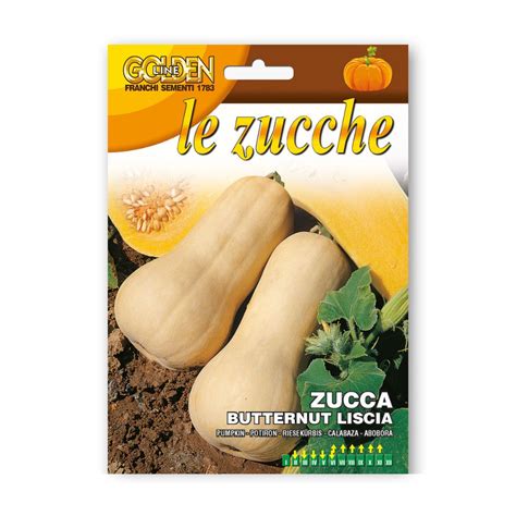 Ķirbis Butternut Liscia 4g Dārziem