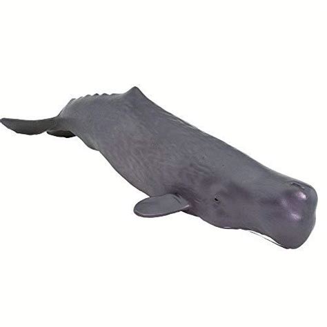 Safari Ltd Sperm Whale Figurine Lifelike 9 Plastic Figure