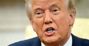 Trump Puts Todd Blanche In Charge Of Library Of Congress Huffpost Latest News