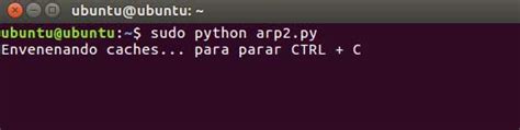 Ataque Arp Poisoning Con Raw Sockets En Python Solvetic