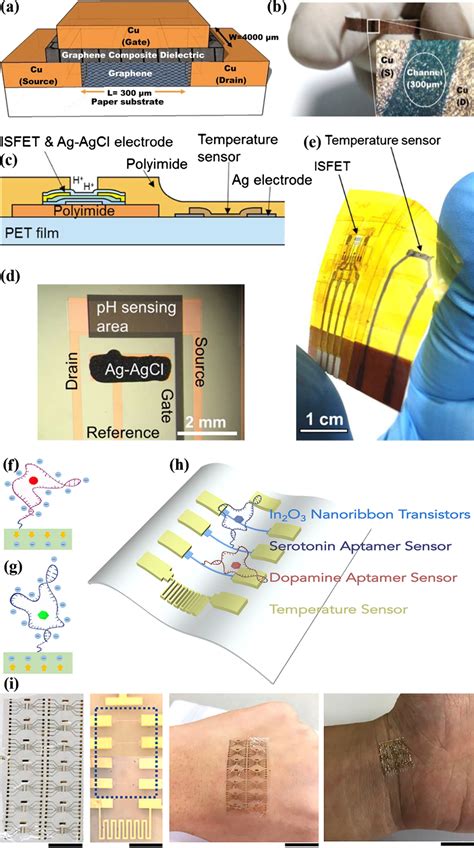 Important Developments In Wearable Fet Based Biosensors A Simple