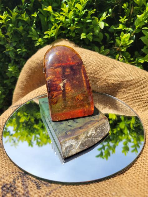 Kauri Gum The Kauri Museum