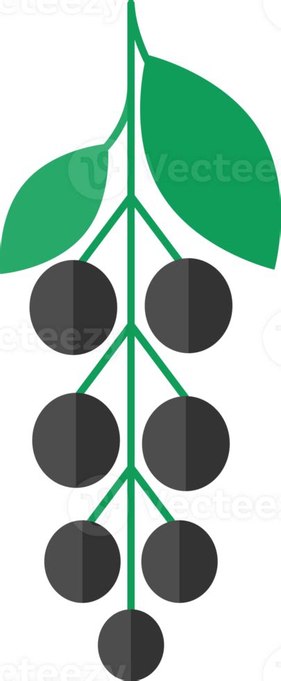 Fresh Bird Cherry Flat Icon 33304288 Png