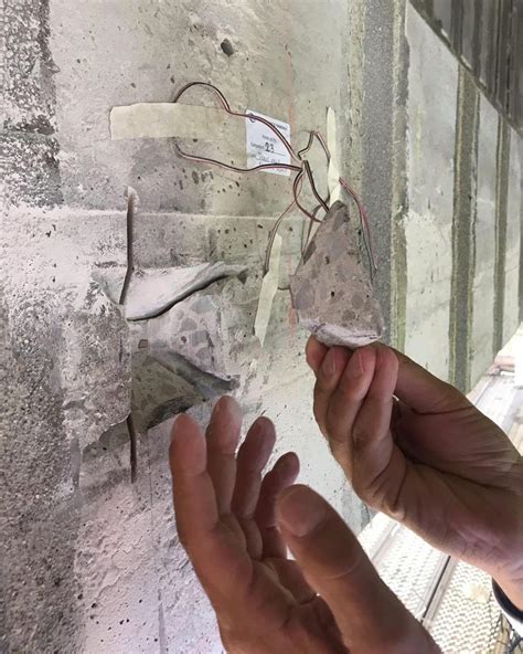 Bridge Engineering Seismic Civilengineering Structuralengineering