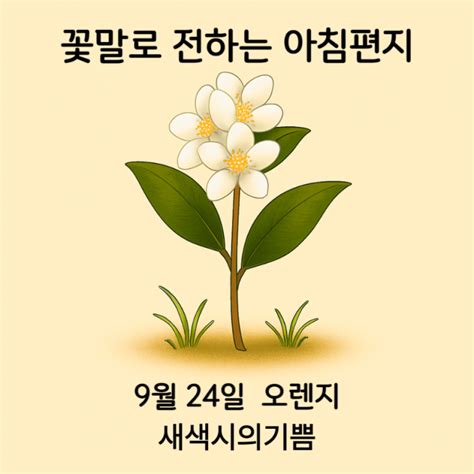 9월24일 탄생화 오렌지 꽃말은 새색시의 기쁨 아침편지 네이버 블로그