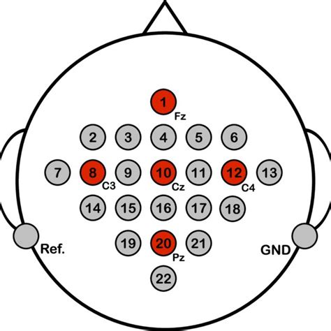 A Schematic Illustration Of Covariate Shift In The Feature Space And