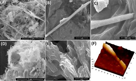 Fesem Micrographs Of A Bfo B Individual Bfo C Individual