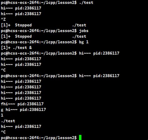 Linux：信号一linux Signal Csdn博客