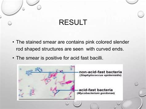 STAINING TECHNIQUES AND TYPES PROCEDURE PPTX Chemistry Science