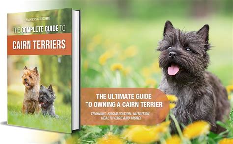 The Complete Guide To Cairn Terriers Finding Raising Training