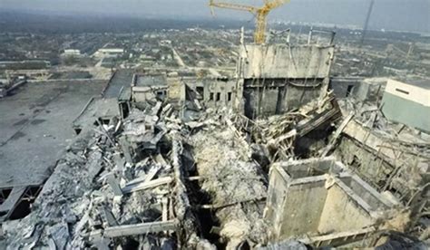 Radiation And Evolution The Story Of Chernobyls Mutant Wildlife