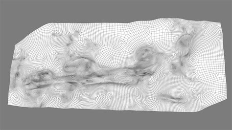 Scanned Ground Root 3d Turbosquid 2123468