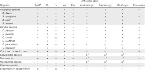 Antifungal Spectrum Of Activity Against Common Fungi Download Table