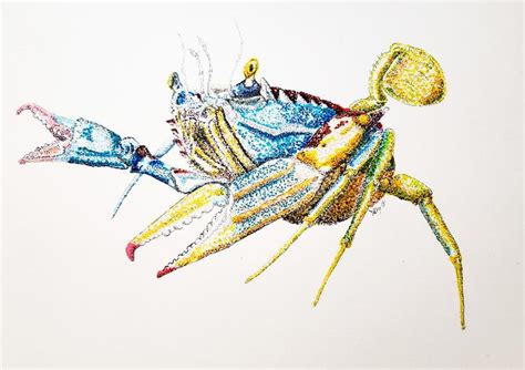 Danielle Ivey On Linkedin Naturalscienceillustrator Nature