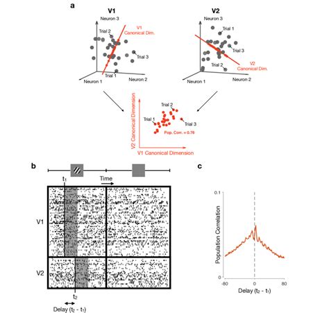 Using Canonical Correlation Analysis Cca To Capture Population