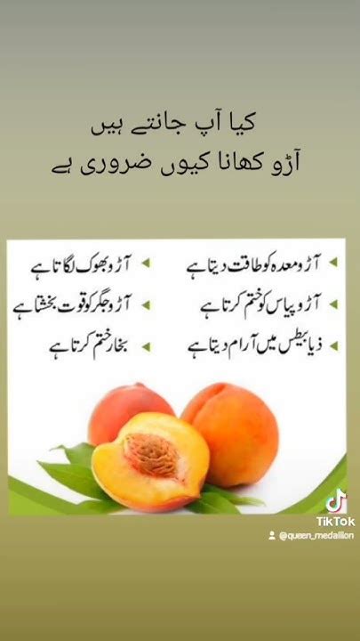 آڑو کے فوائد Youtube