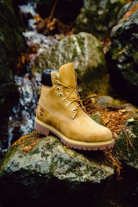 Timberland Everlasting Evergreen Everywhere The 6 Inch Boot