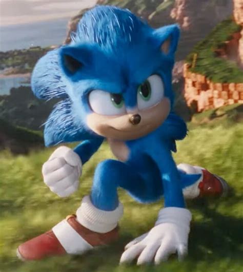 Sonic The Hedgehog Is Running Through Some Grass