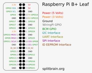 Raspberry Pi B Pinout Leaf Raspberry Pi X PNG Download PNGkit