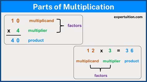 Multiplication Strategies For Grade 4 And Grade 5 Expertuition