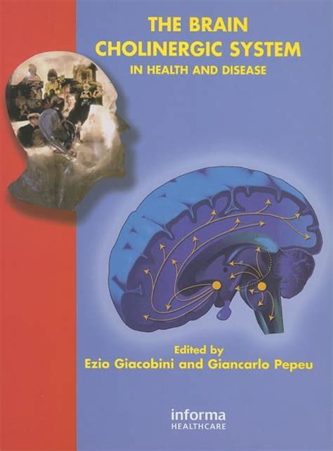 The Brain Cholinergic System In Health And Disease Hardcover