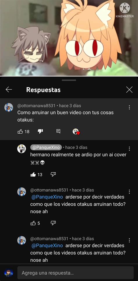 Pinché Pendejo Rdylanteroyt