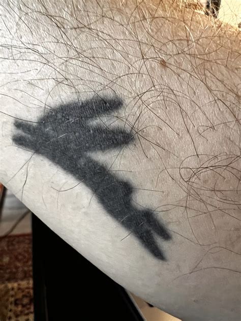 30 Minutes On Watership Down Features Roger Ebert