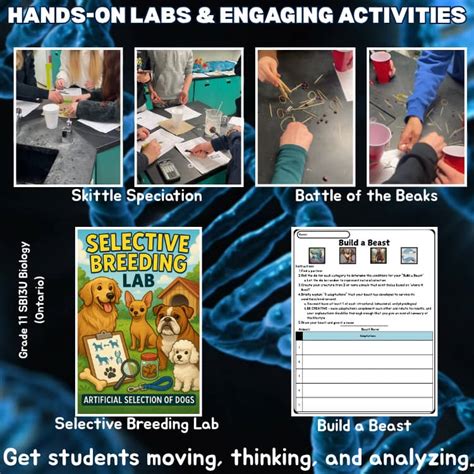 Evolution Unit Sbi3u Biology Grade 11 Lessons Notes Labs Assessments