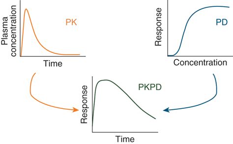 2 Pharmacokinetic And Pharmacodynamic Modelling In Anaesthesia