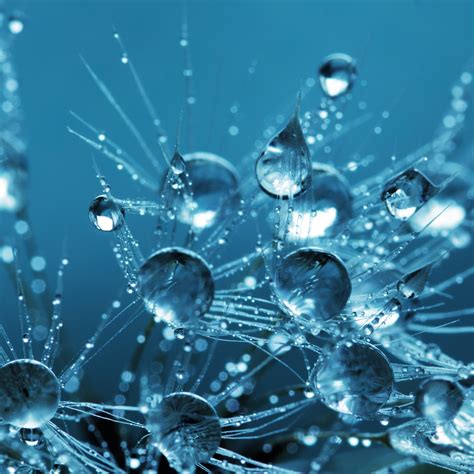 Theistic Proof Rationalism And Fideism The Bahnsen Institute