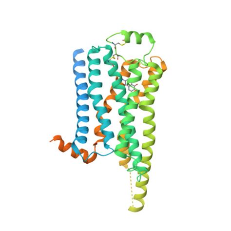 Rcsb Pdb 8ggi Locally Refined Cryoem Structure Of Receptor From Beta 2 Adrenergic Receptor In