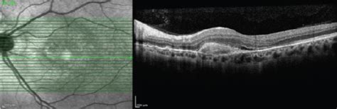 Clinmed International Library