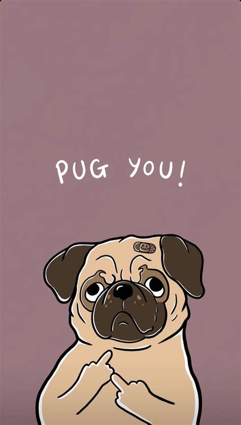 Cười Xỉu Với Loạt 331 ảnh Meme Chó Mèo Hài Hước Cute Nhất