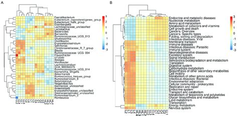 Heat Map Of Bacterial Abundance Distribution And Microbial Functions