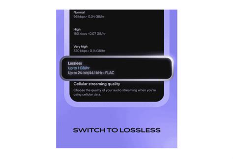 Spotifys Lossless Audio Isnt For Casual Listeners And Thats The