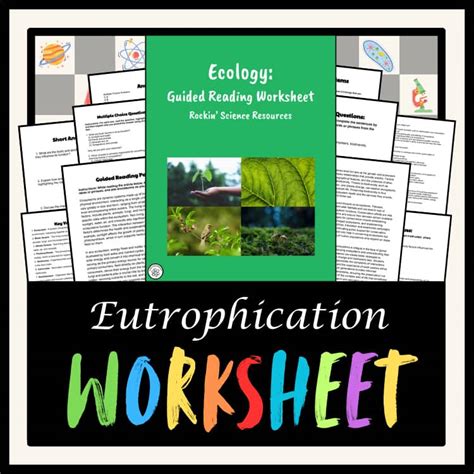 Eutrophication Guided Reading Worksheet Ecology By Rockin Science Resources