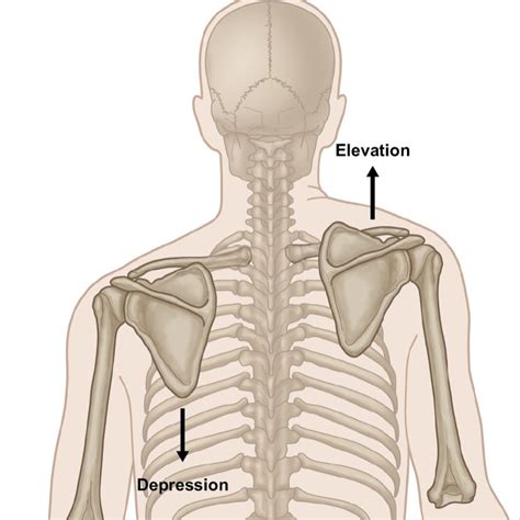 Hanging Week I Heard A Doctor Claim That 90 Of His Patients Set For Shoulder Surgeries Were