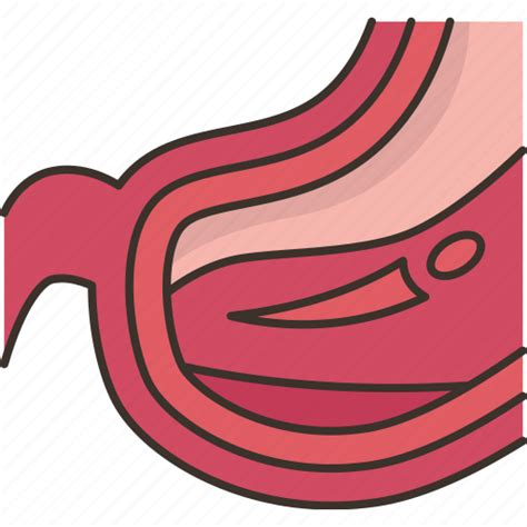 Belly Bleeding Abdomen Injury Hemorrhage Icon Download On Iconfinder