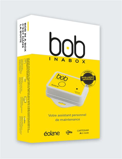 Bobinaboxface 17072018 Bob Assistant