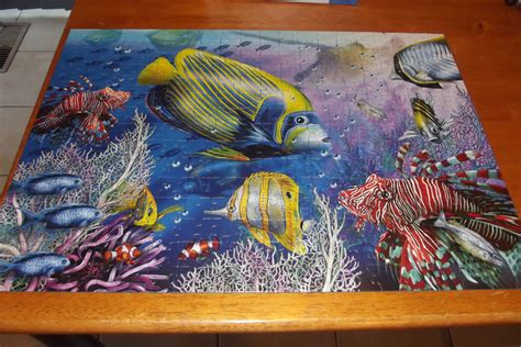 Miscellaneous 2014 Flickr