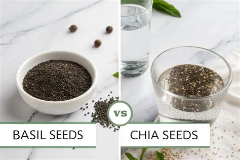 Basil Seeds Vs Chia Seeds Which Is Better Full Guide