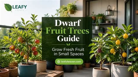 Dwarf Fruit Trees Complete Guide To Types Care And Growth