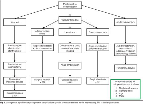 Figure 1 From A Systematic Management Algorithm For Perioperative Complications After Robotic