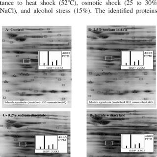Downregulation Of Alpha Amylase By Lactate Diacetate And The
