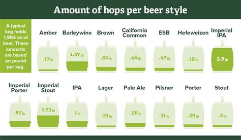 Beer Hops En Ingles At Stephanie Fleming Blog