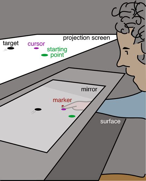 schematic representation of the set up a target cursor and starting