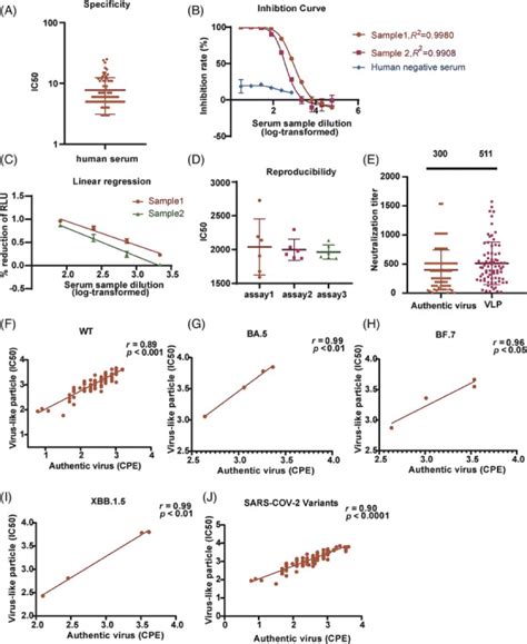 Optimization And Validation Of A Virus‐like Particle Pseudotyped Virus Neutralization Assay For